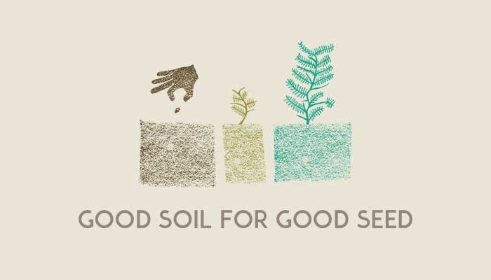 Bible Studies | Church of the Redeemer